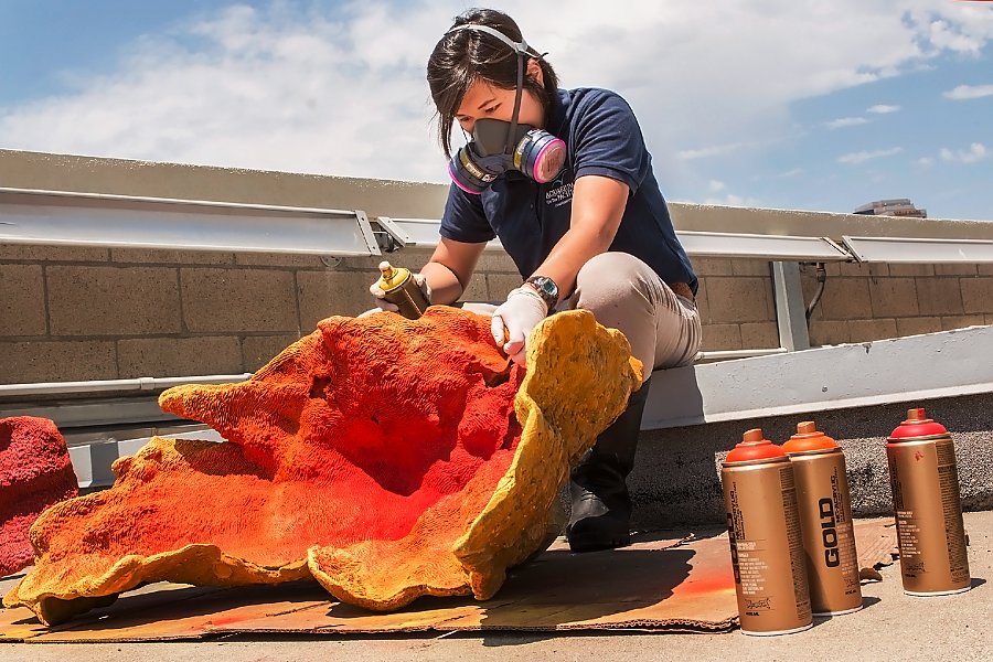 Creating and Restoring Colorful Coral | Aquarium Blog | Aquarium of the ...