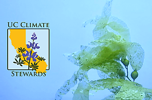 UC Climate Stewards at the Aquarium of the Pacific | Community ...