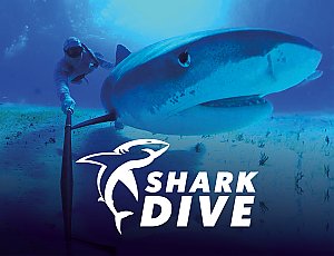 Undersea Explorer VR | Plan Your Visit | Aquarium of the Pacific