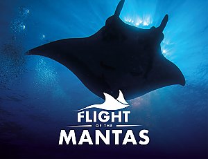 Undersea Explorer VR | Plan Your Visit | Aquarium of the Pacific