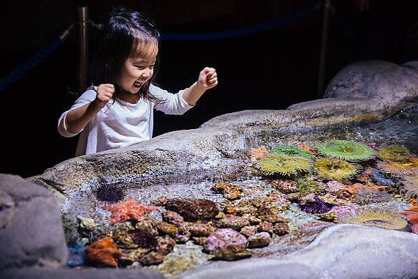 Activities | Tips For a Great Field Trip | Aquarium of the Pacific
