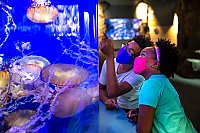 Aquarium Summer Camps | Aquarium of the Pacific