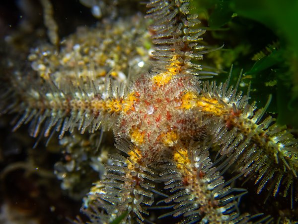 Connecting with Nature in Unexpected Places | Aquarium News | Aquarium ...