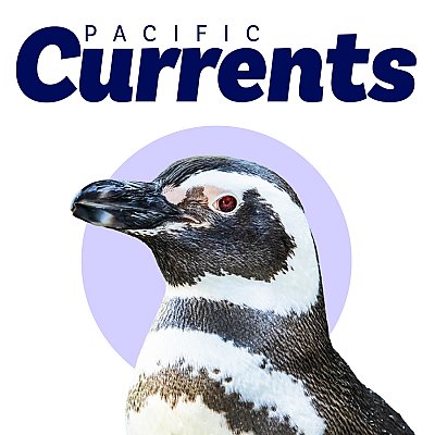 Pacific Currents | Membership | Aquarium of the Pacific