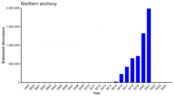 Northern Anchovy | Marine Species Report Card | Aquarium of the Pacific