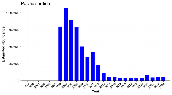 Pacific Sardine | Marine Species Report Card | Aquarium of the Pacific