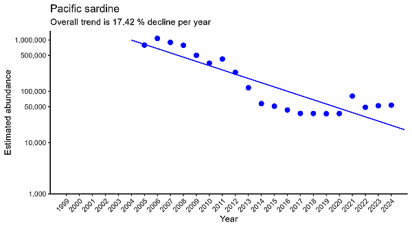 Pacific Sardine | Marine Species Report Card | Aquarium of the Pacific