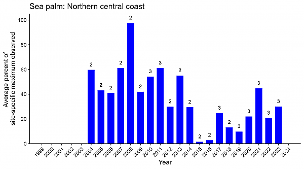 Sea Palm | Marine Species Report Card | Aquarium of the Pacific