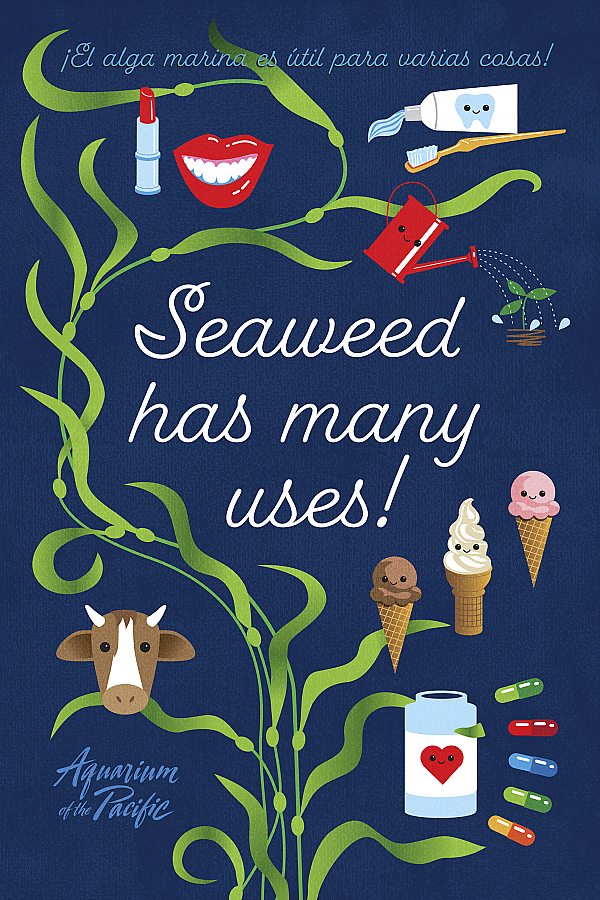 Seaweed | Seafood for the Future | Aquarium of the Pacific