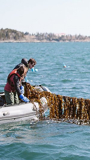 Seafood Education | Seafood for the Future | Aquarium of the Pacific